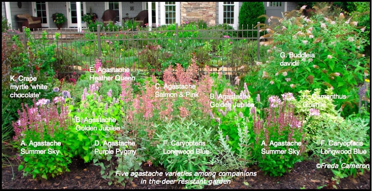 18 Garden Plans Zone 5 Ideas You Must Look | SharonSable