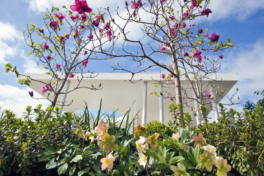 18 Magnolia Garden Park Ideas To Try This Year | SharonSable