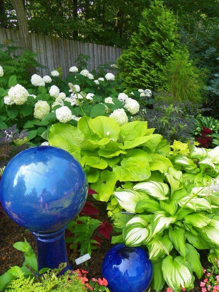 23 Hydrangea and Hosta Garden Ideas To Try This Year | SharonSable