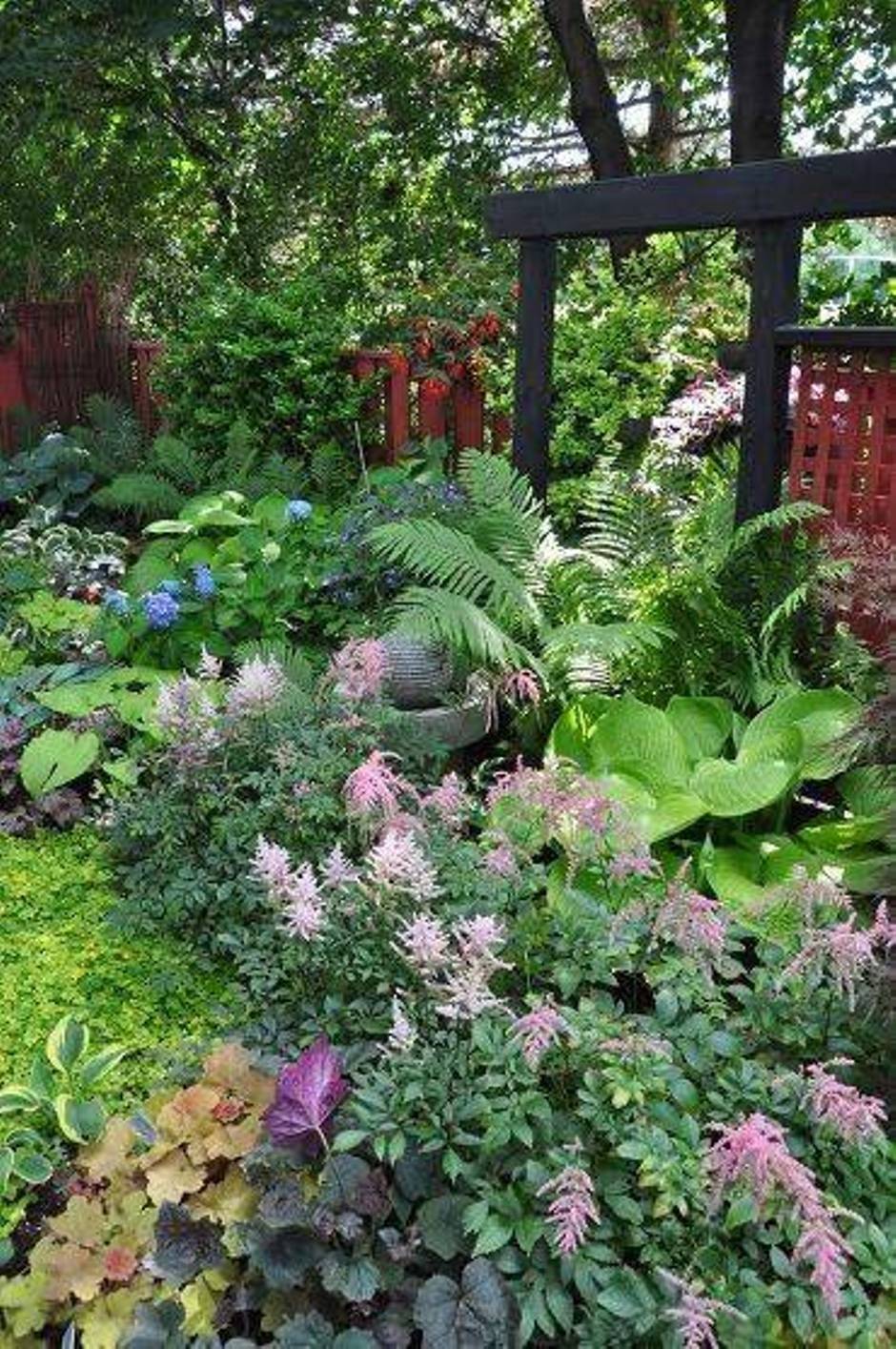 24 Astilbe and Hosta Garden Ideas You Should Check | SharonSable