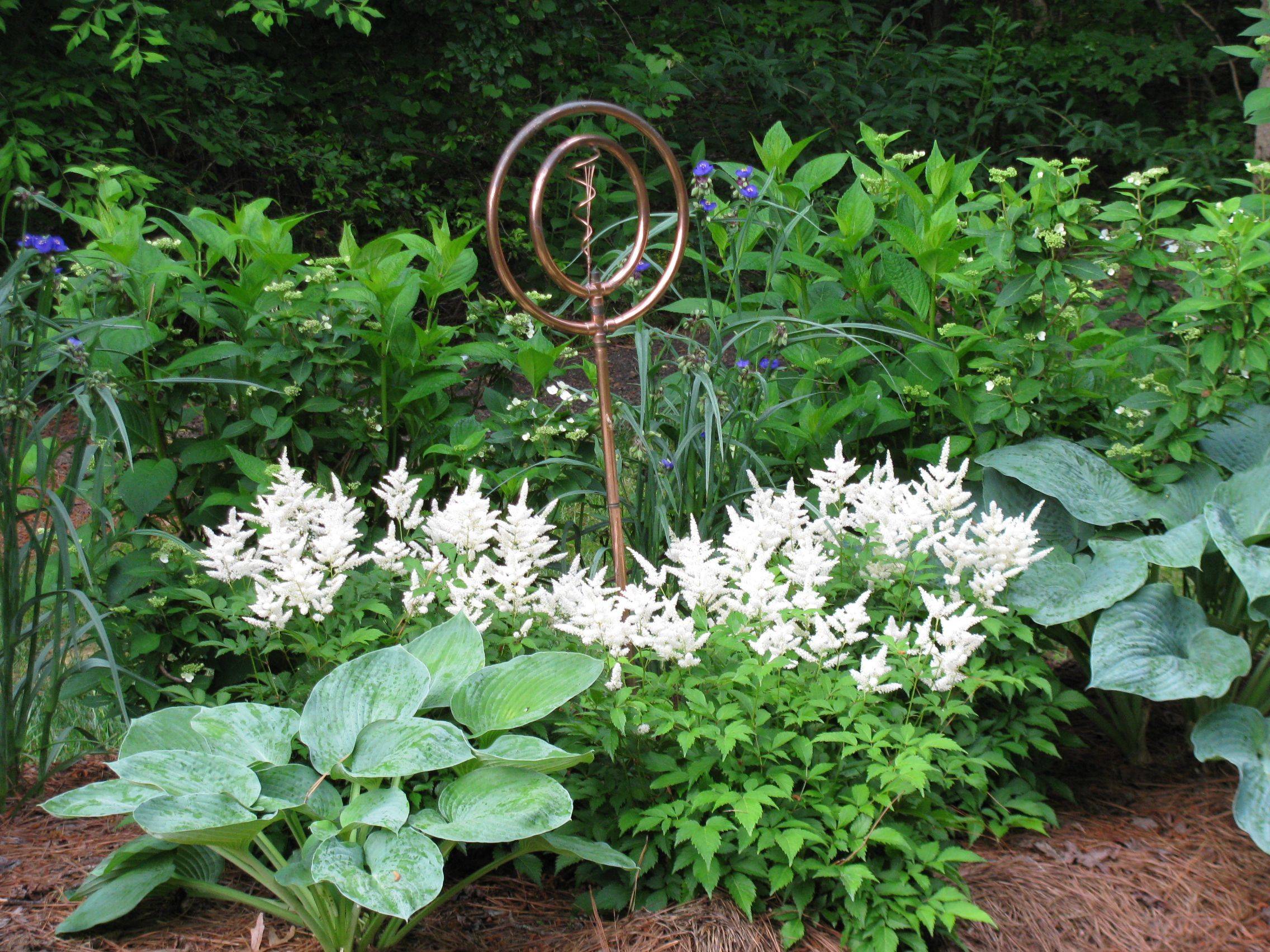 24 Astilbe and Hosta Garden Ideas You Should Check | SharonSable