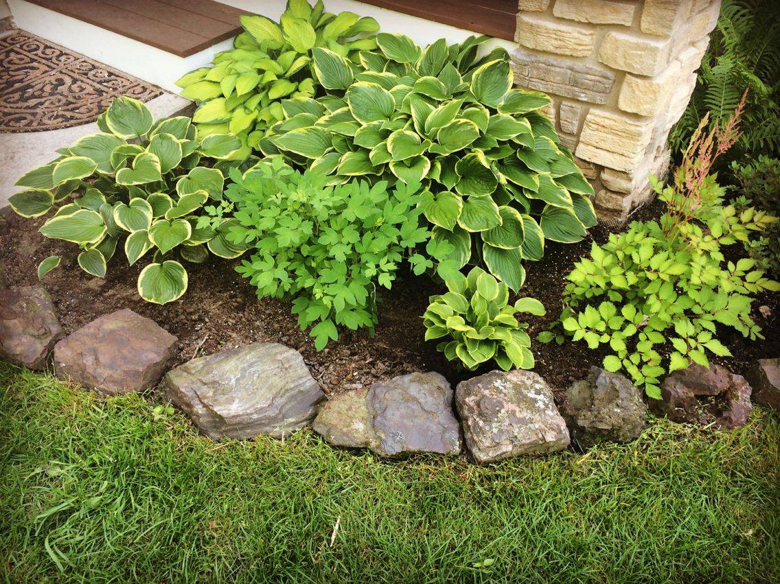 24 Astilbe and Hosta Garden Ideas You Should Check | SharonSable