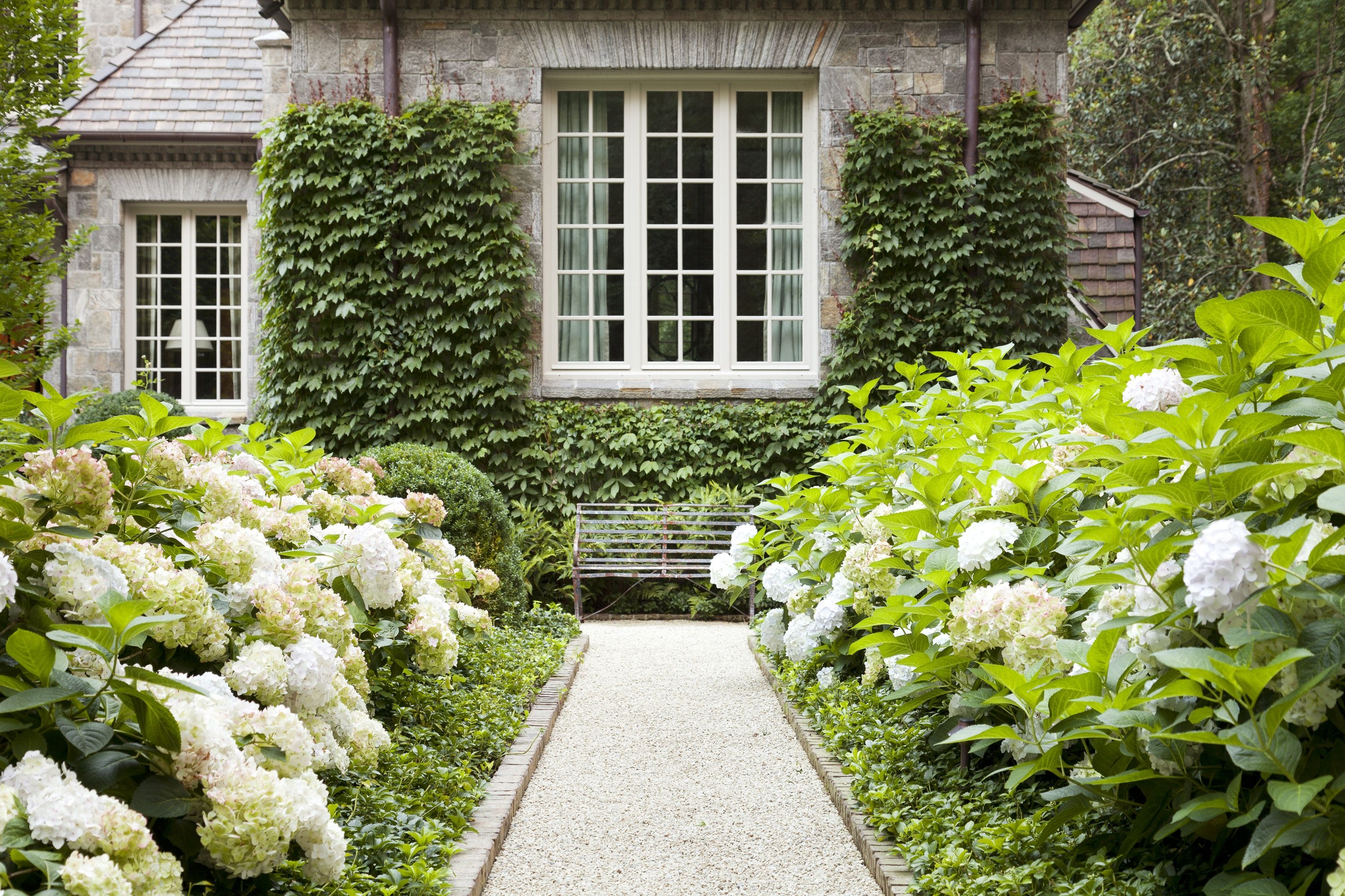 23 Hydrangea Border Garden Ideas Worth a Look | SharonSable