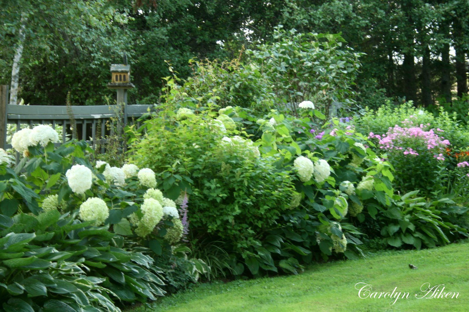 23 Hydrangea Border Garden Ideas Worth a Look | SharonSable