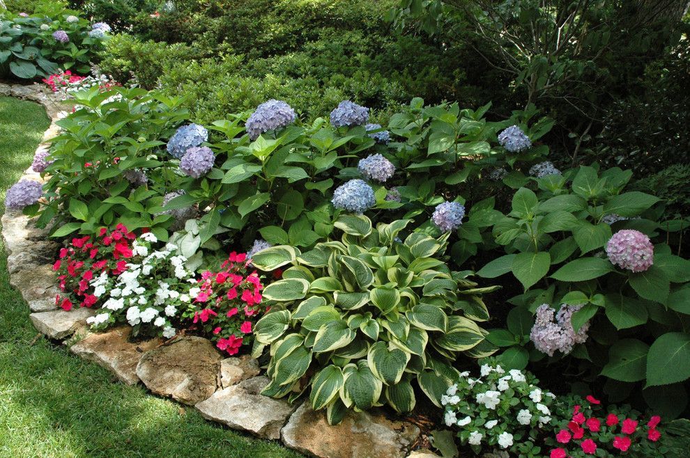 23 Hydrangea Border Garden Ideas Worth a Look | SharonSable
