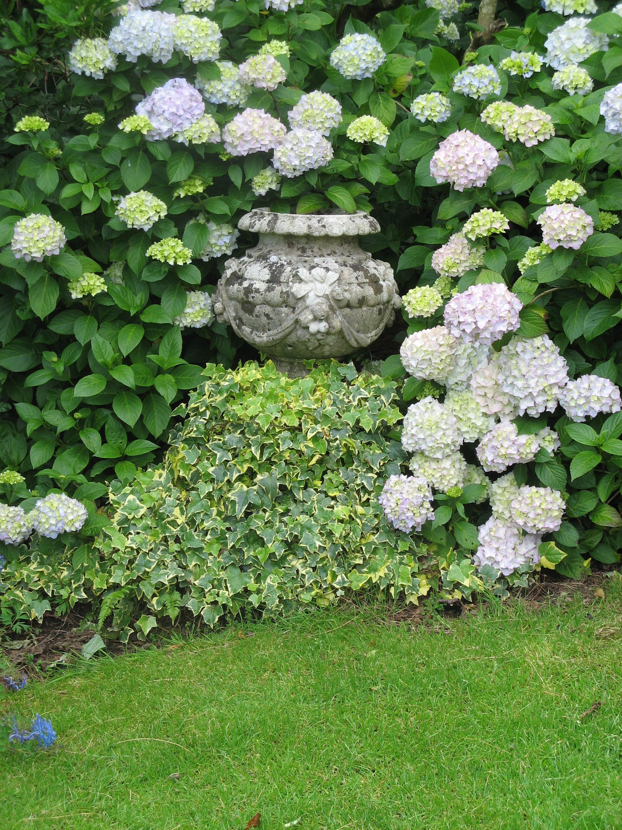 23 Hydrangea Border Garden Ideas Worth a Look | SharonSable