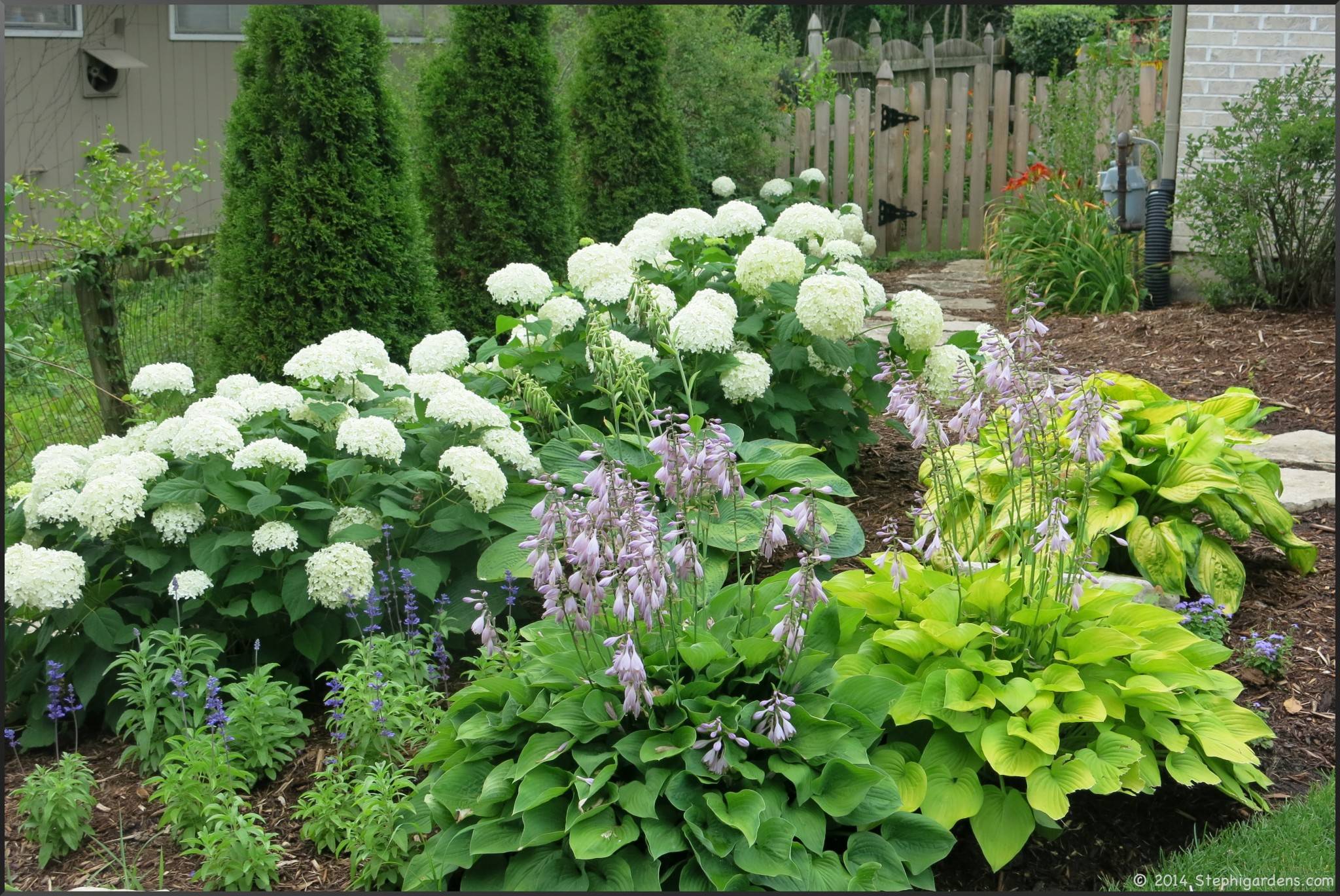 24 Hydrangeas and Hostas Garden Design Ideas You Must Look | SharonSable