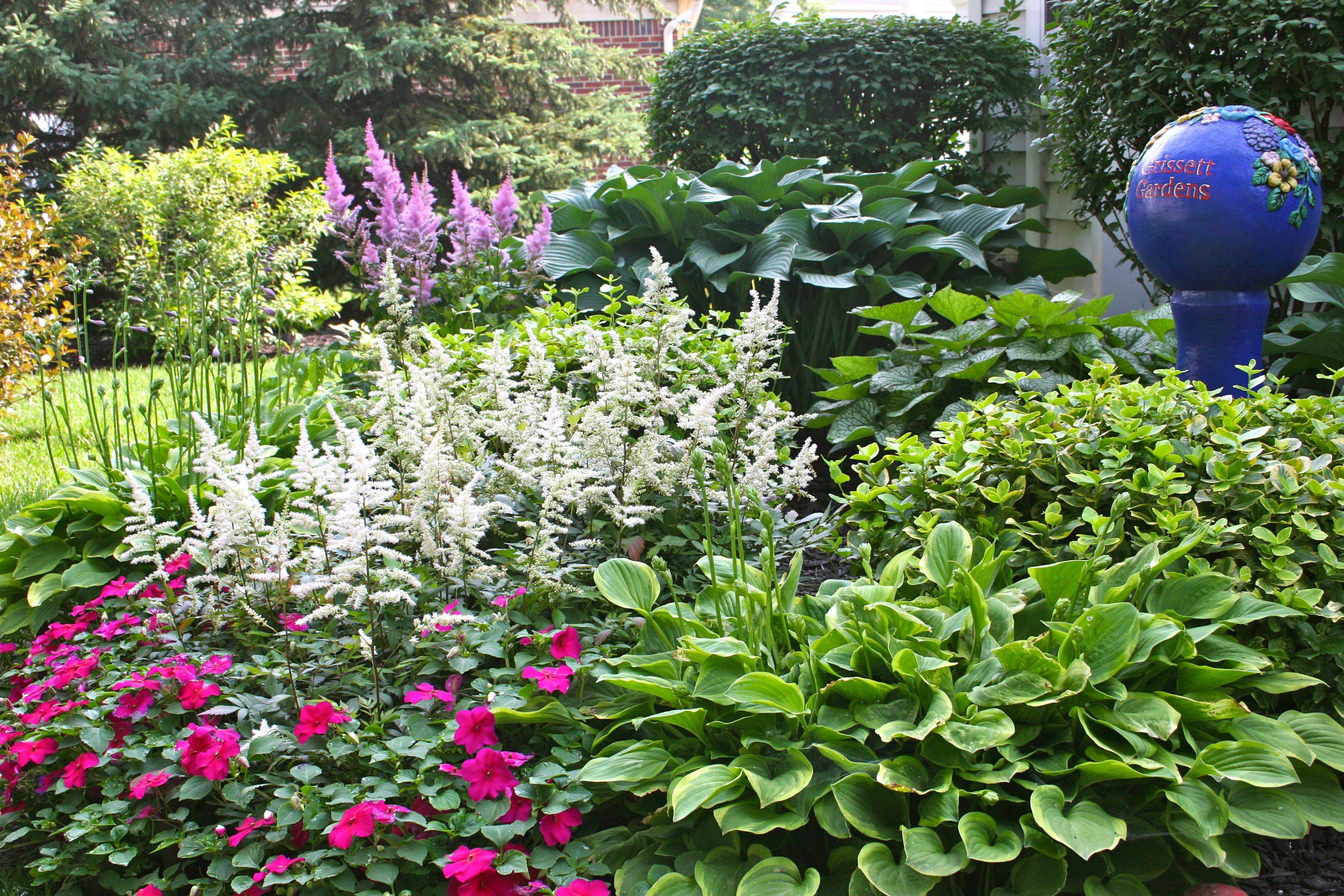 19 Astilbe Hosta Garden Ideas To Try This Year | SharonSable