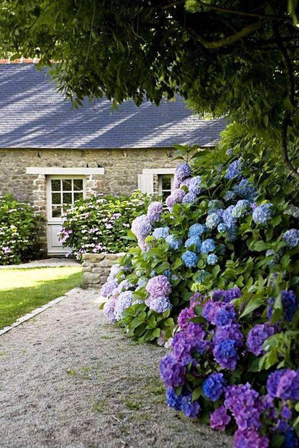 26 Hydrangea English Garden Ideas You Gonna Love | SharonSable