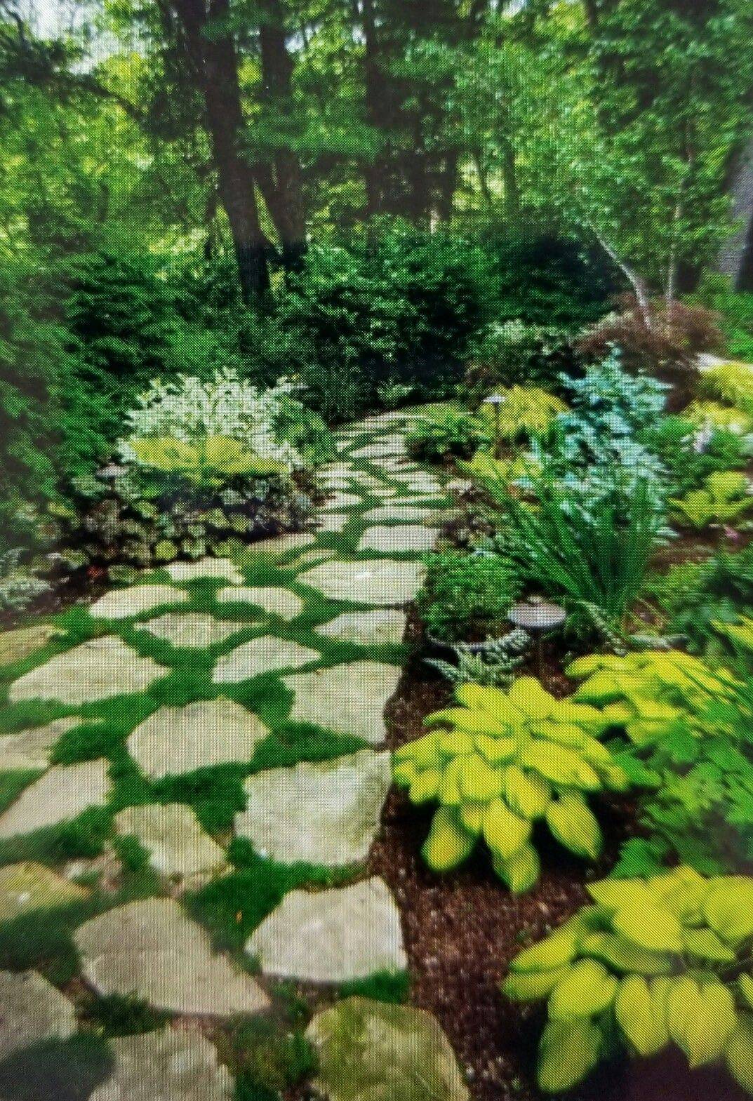 24 Shade Garden Pathways Ideas For This Year | SharonSable