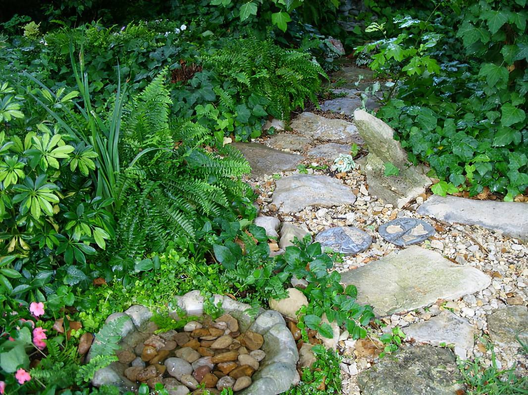 23 Texas Shade Garden Ideas Worth to Check | SharonSable