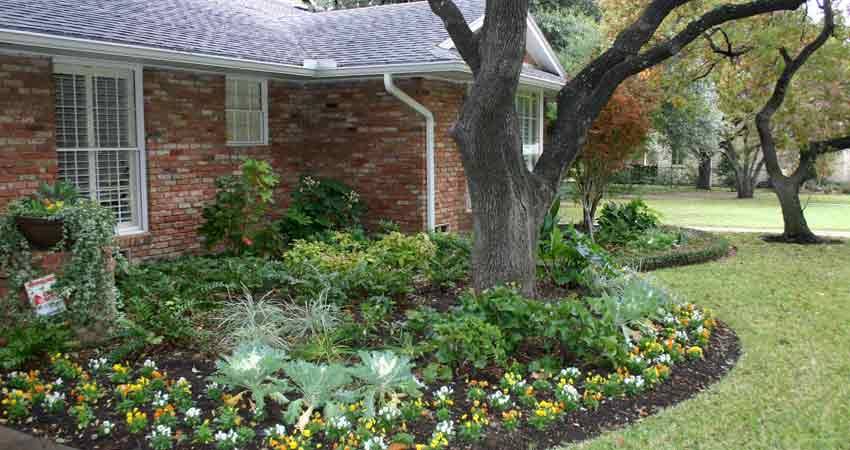23 Texas Shade Garden Ideas Worth to Check | SharonSable
