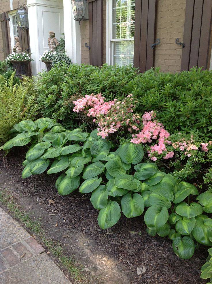 22 Hosta Garden Bed Ideas To Consider | SharonSable