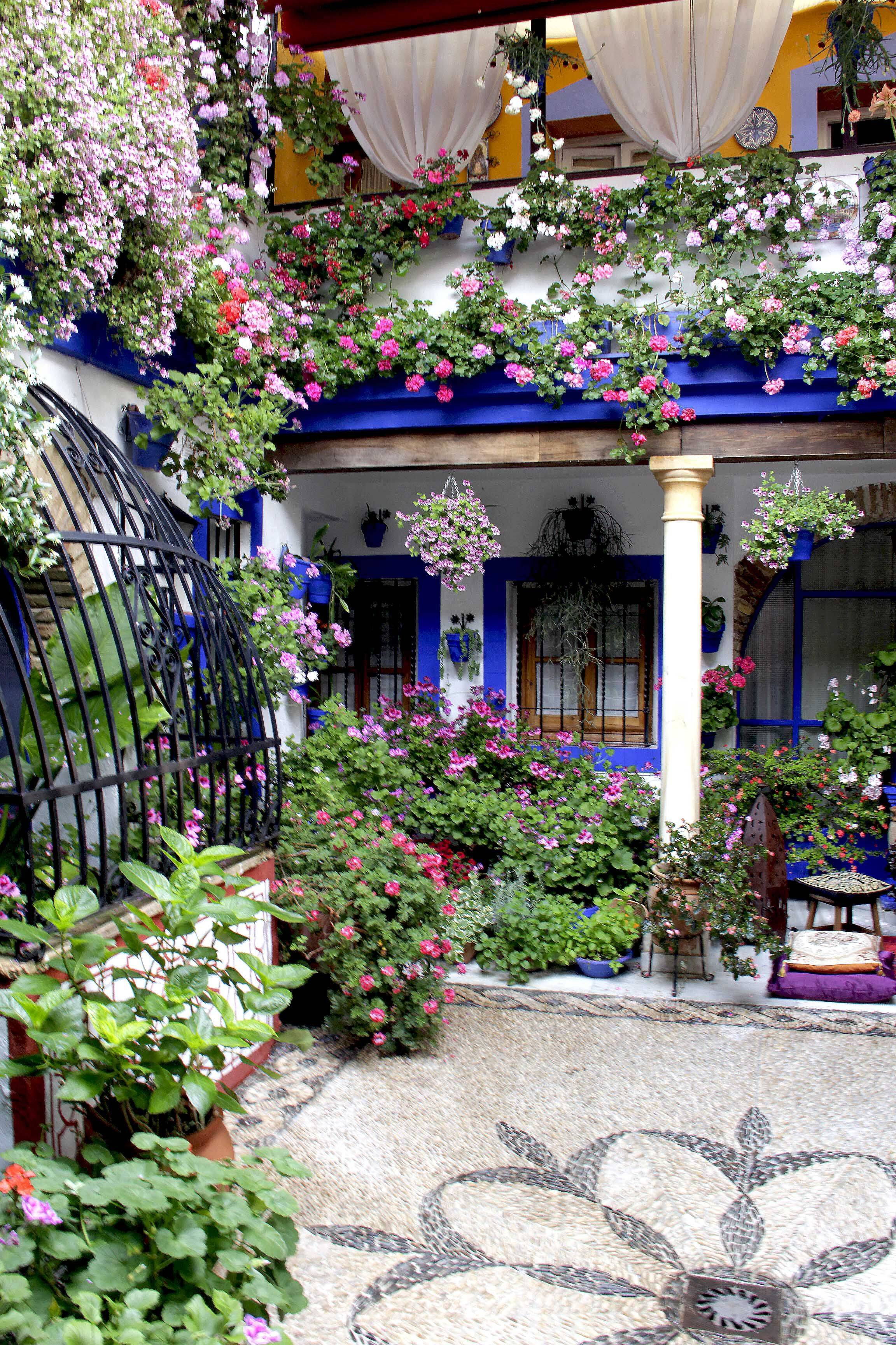 19 Flickr Garden Ideas You Cannot Miss | SharonSable