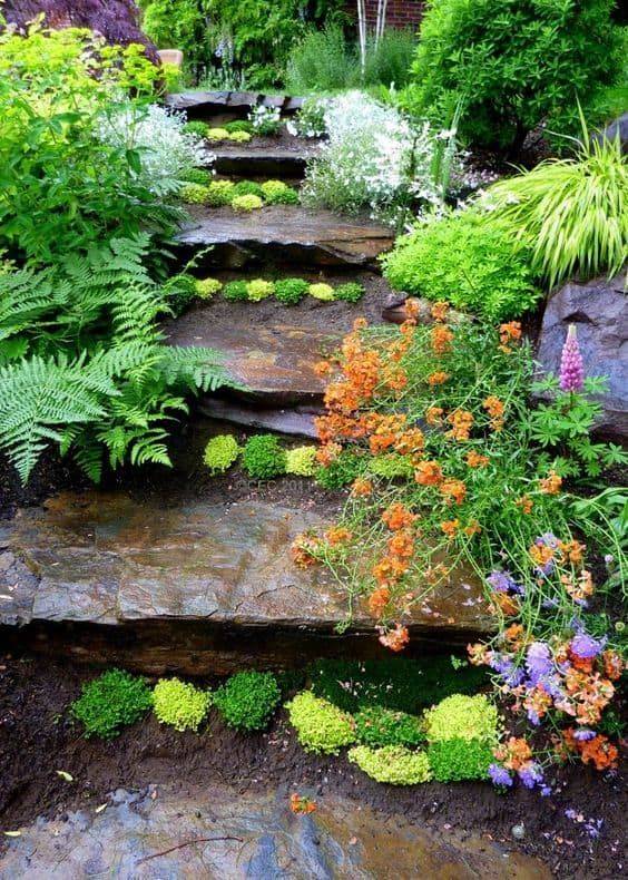 22 Outdoor Fern Garden Ideas You Must Look | SharonSable