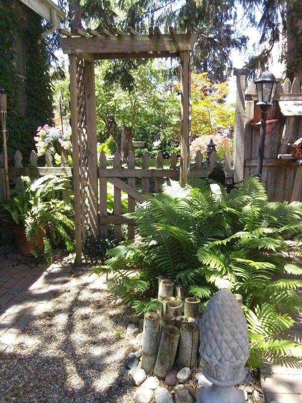 22 Outdoor Fern Garden Ideas You Must Look | SharonSable