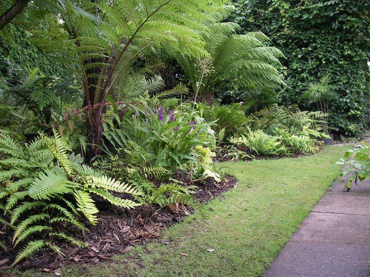 25 Fern Garden Border Ideas To Try This Year | SharonSable