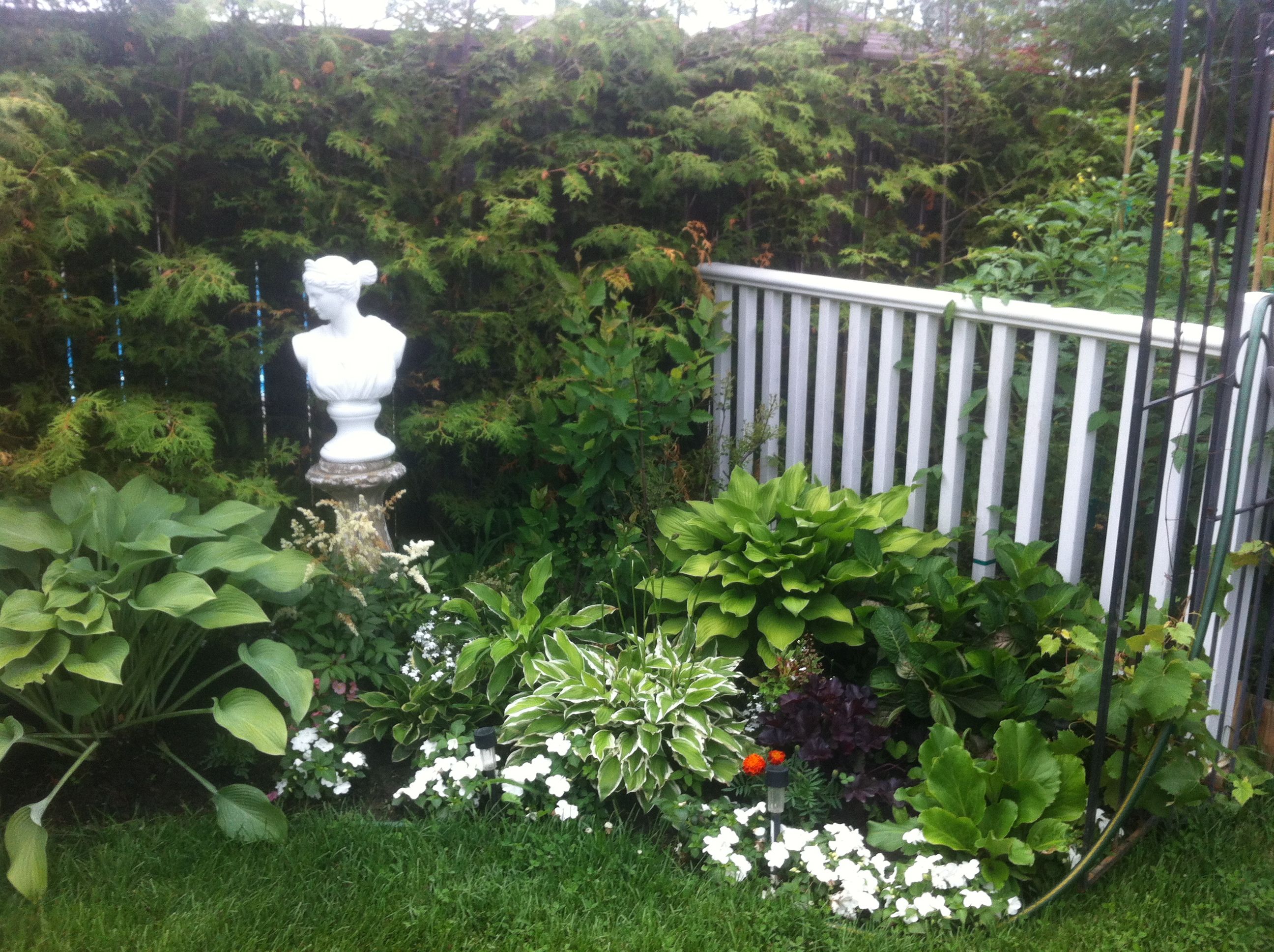 22 Corner Shade Garden with Hostas Ideas You Must Look | SharonSable