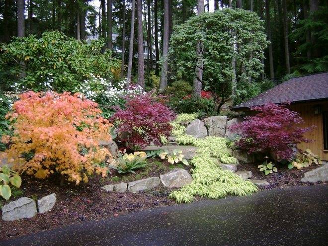 20 Pacific Northwest Garden Design Ideas You Must Look | SharonSable