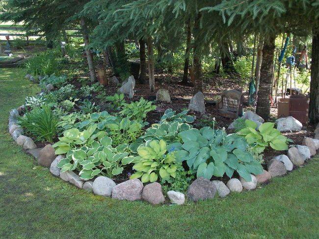 22 Shade Garden with Rock Border Ideas To Try This Year | SharonSable