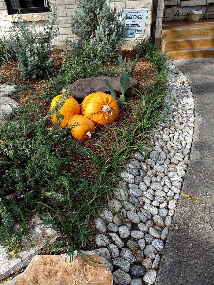 22 Shade Garden with Rock Border Ideas To Try This Year | SharonSable