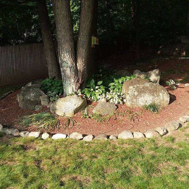 22 Shade Garden with Rock Border Ideas To Try This Year | SharonSable