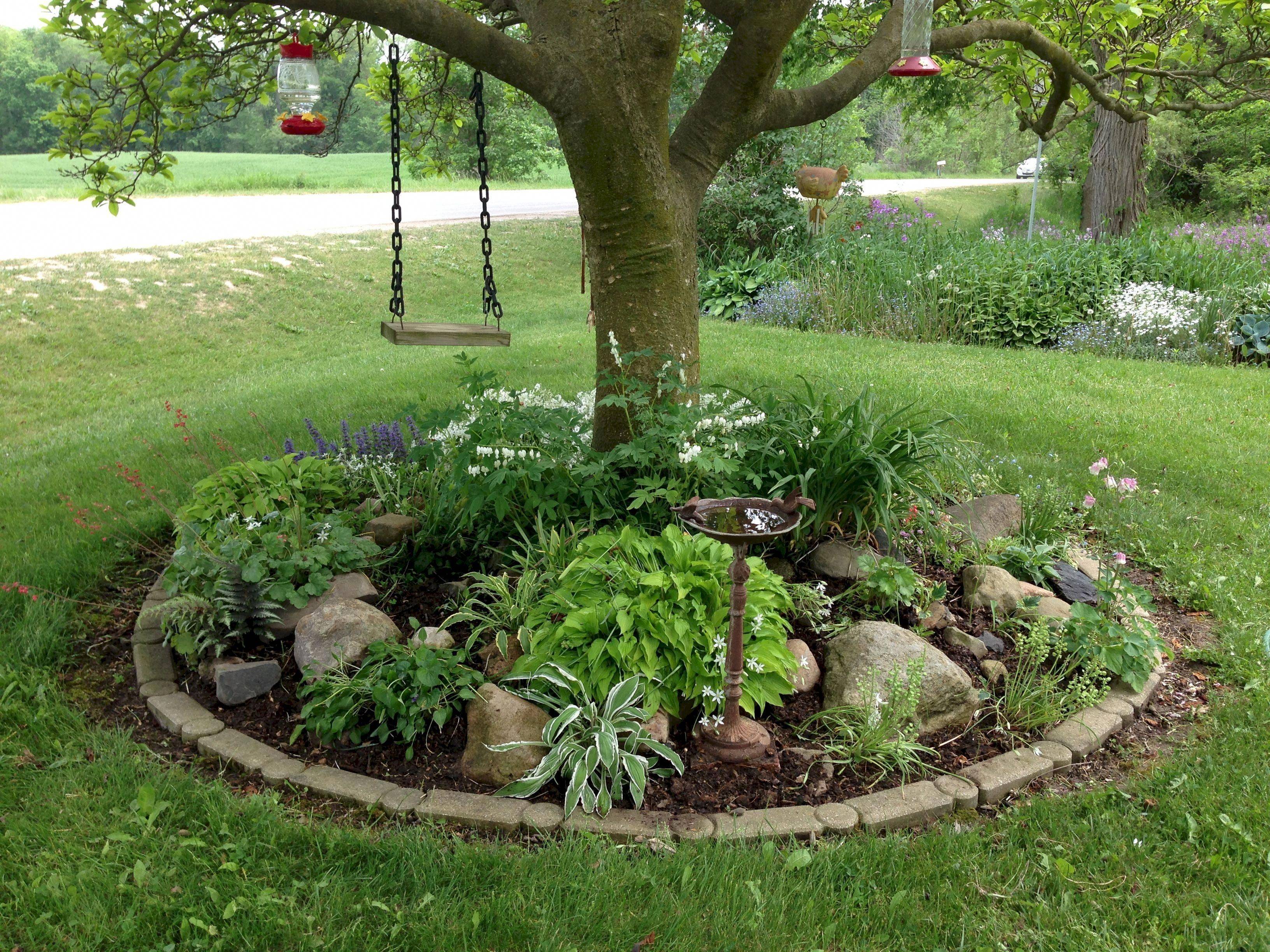23 Shade Rock Garden Landscaping Ideas You Must Look | SharonSable