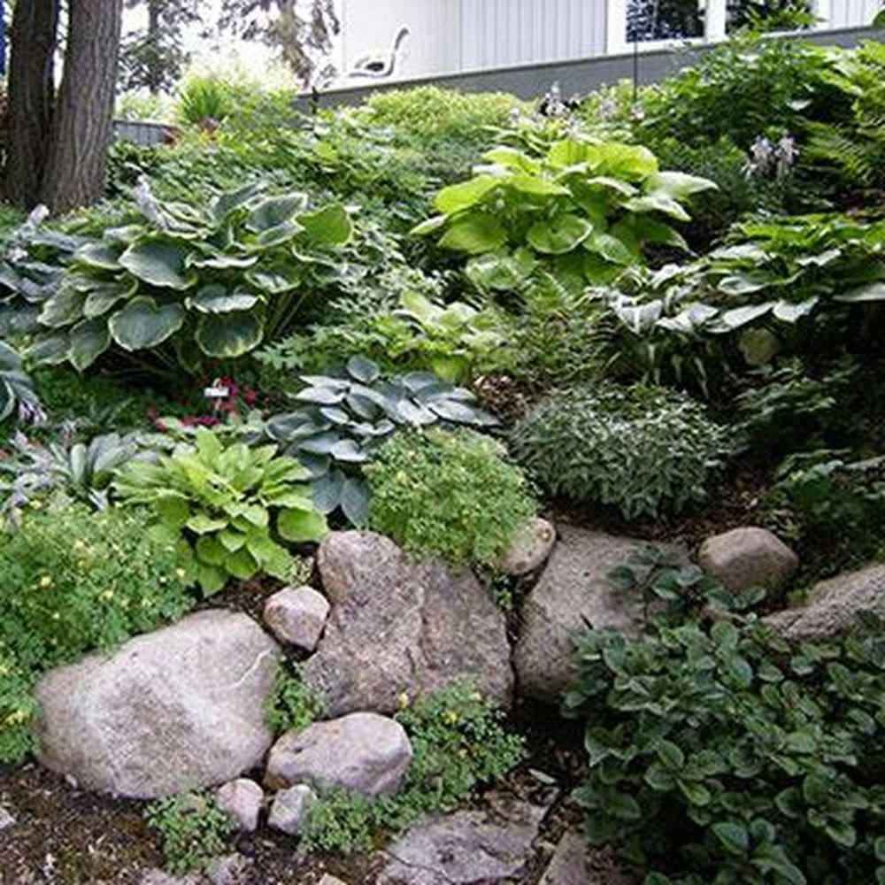 23 Shade Rock Garden Landscaping Ideas You Must Look | SharonSable