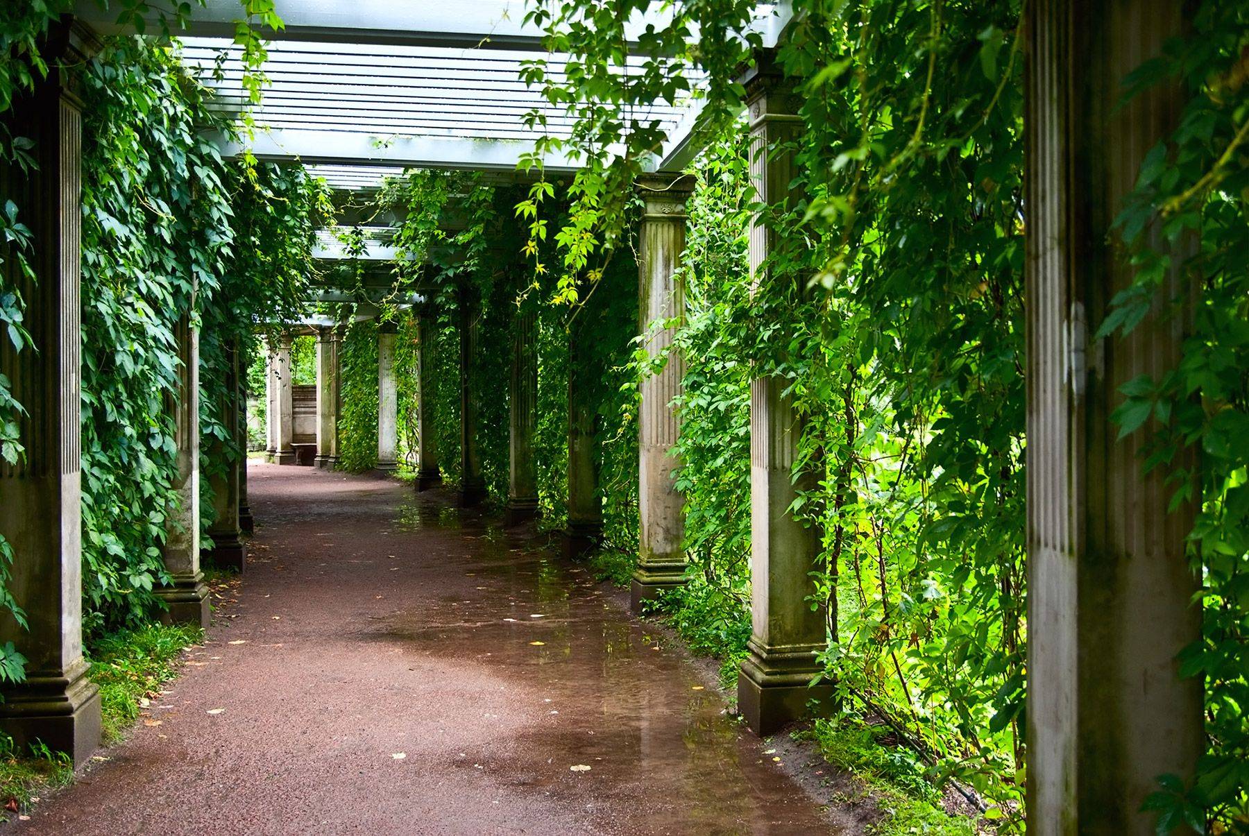 18 Perfect Shade Garden Exposed Ideas To Try This Year | SharonSable