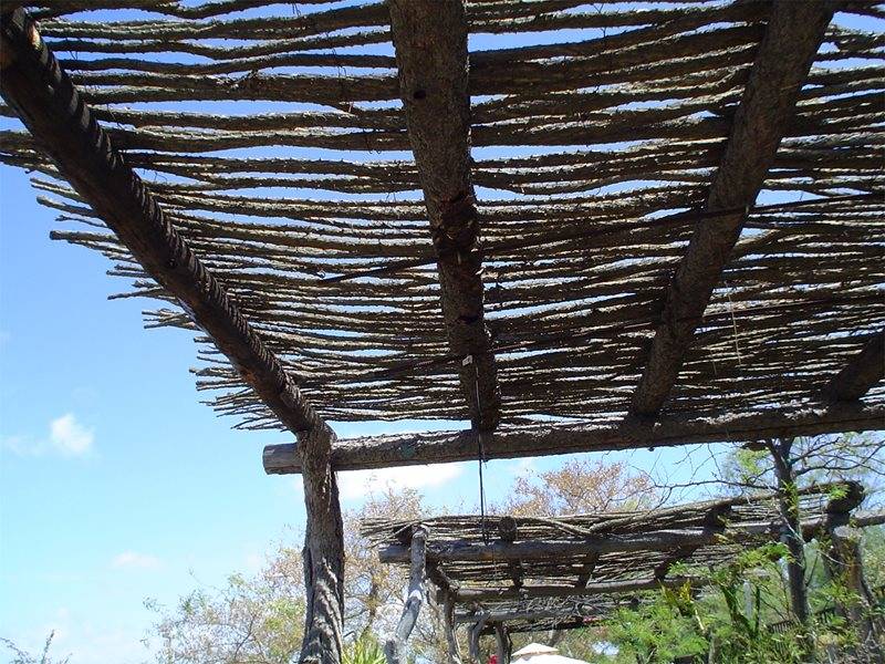 20 Rustic Garden Shade Structure Ideas You Gonna Love | SharonSable