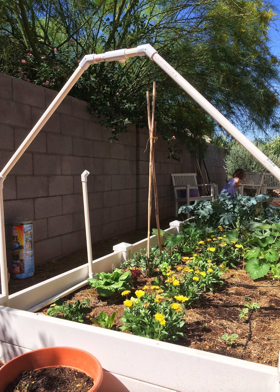 23 Vegetable Garden Shade Structures Ideas You Should Check | SharonSable