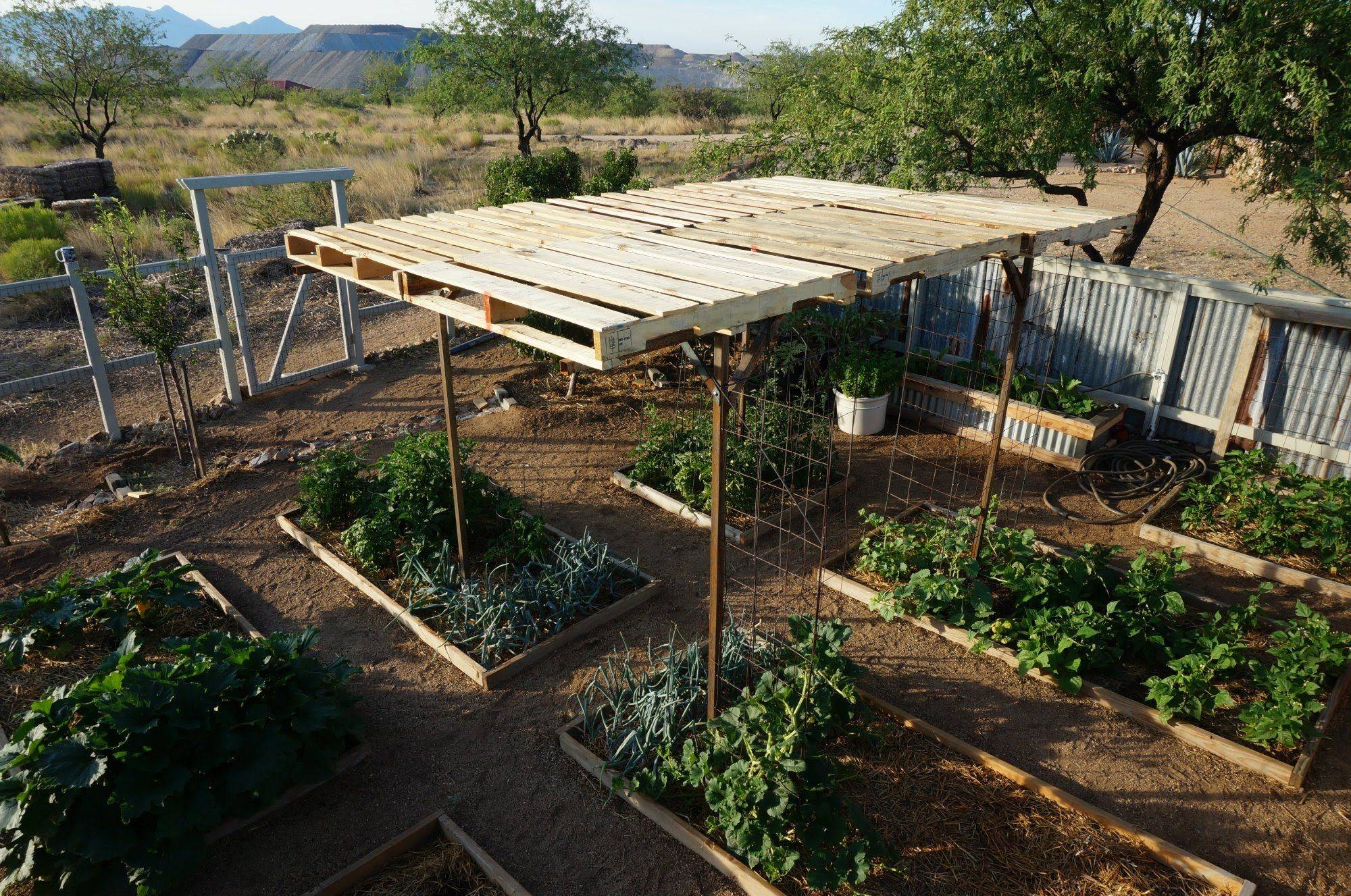23 Vegetable Garden Shade Structures Ideas You Should Check | SharonSable