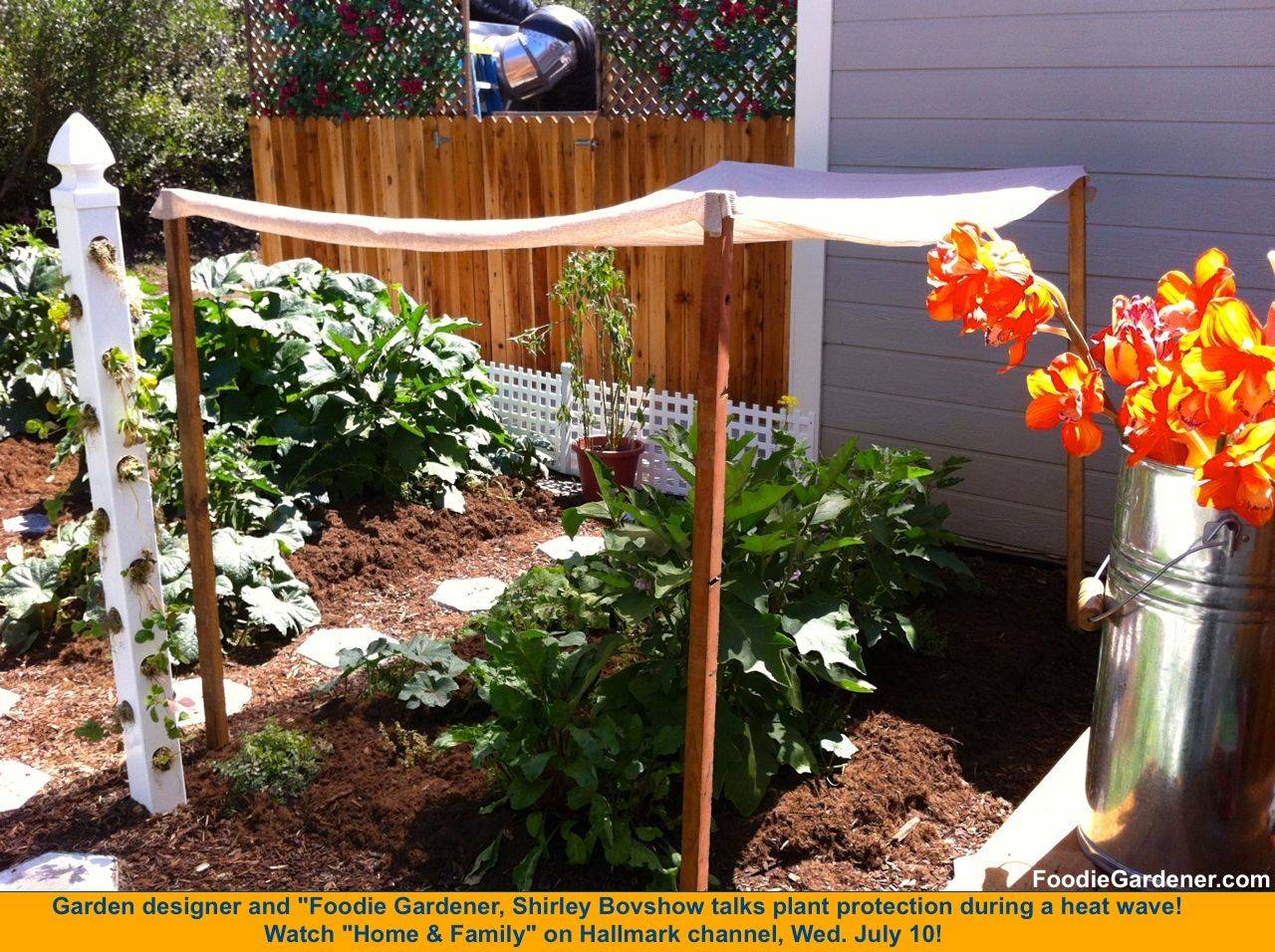 23 Vegetable Garden Shade Structures Ideas You Should Check | SharonSable