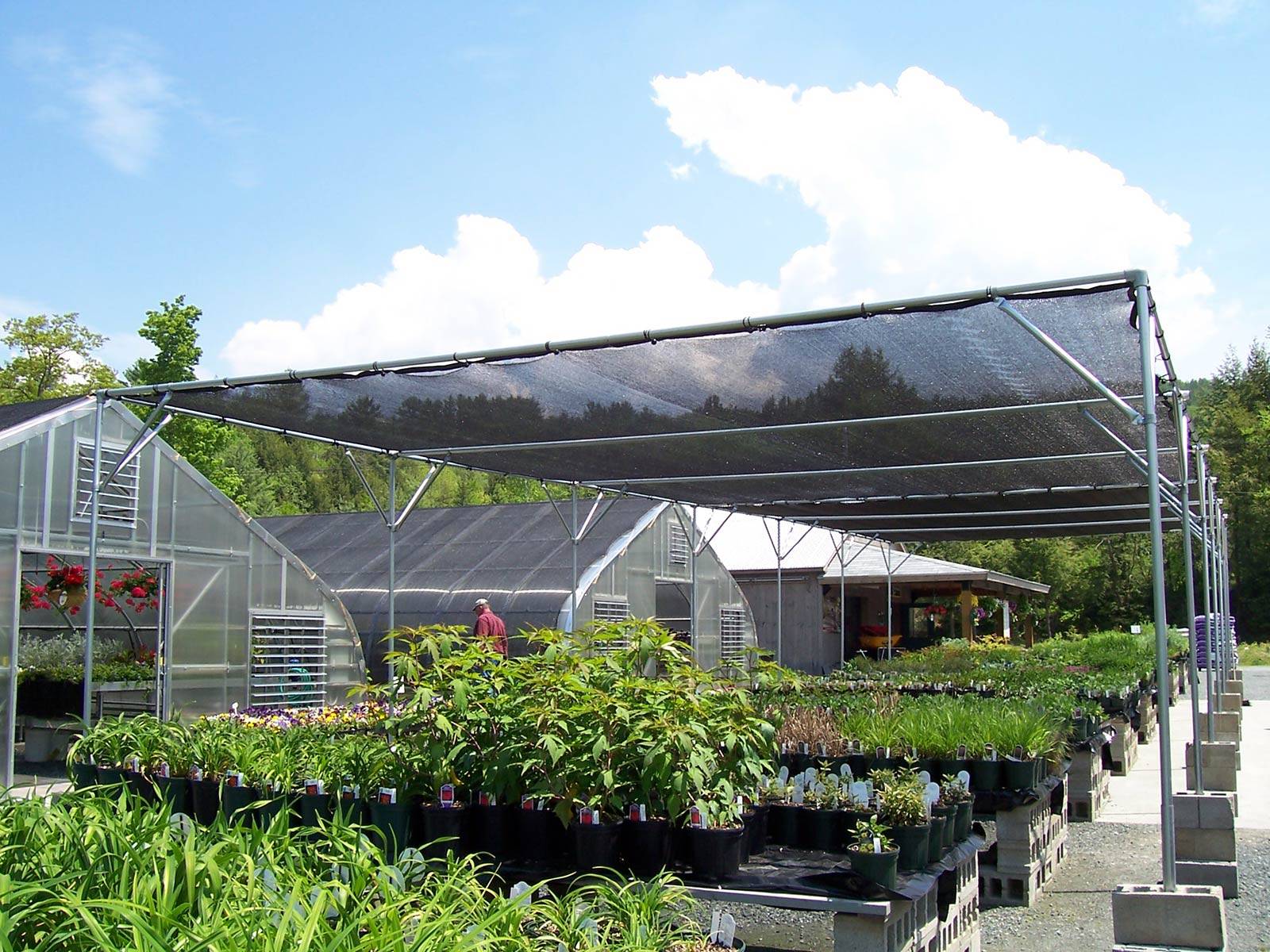 22 Garden Shade Cloth Structures Ideas You Cannot Miss | SharonSable