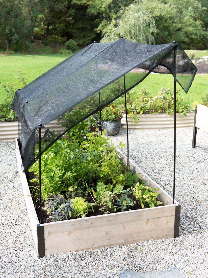 21 Garden Shade Netting Ideas You Should Check | SharonSable