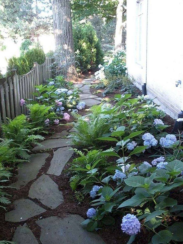 19 Side House Shade Garden Ideas To Consider | SharonSable