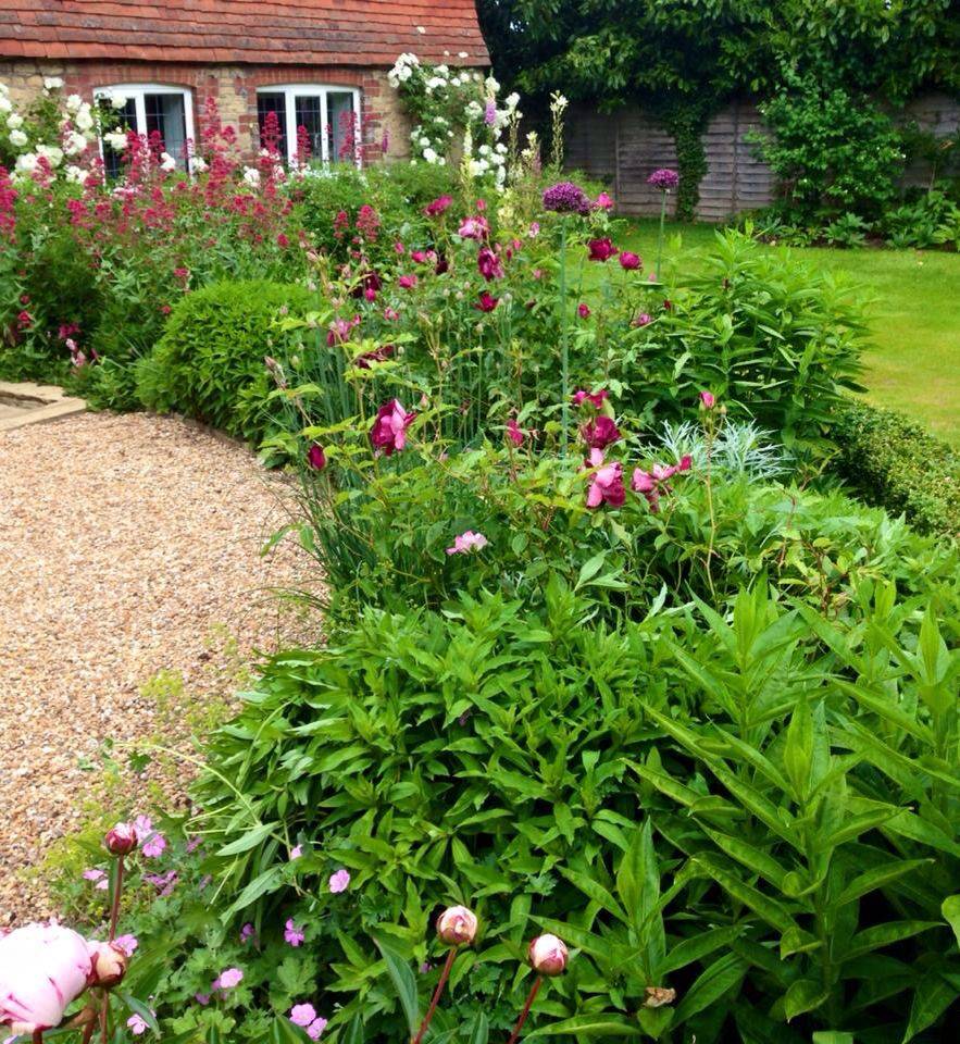 21 Cottage Perennial Border Garden Ideas You Must Look | SharonSable