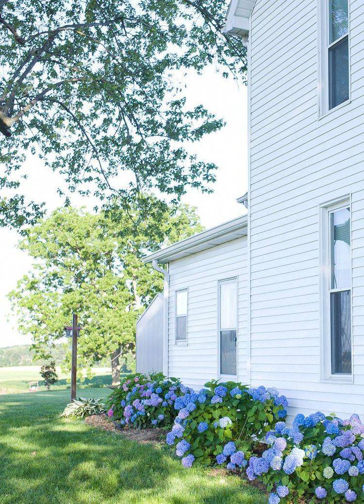 23 Country Farmhouse Flower Garden Ideas For This Year | SharonSable