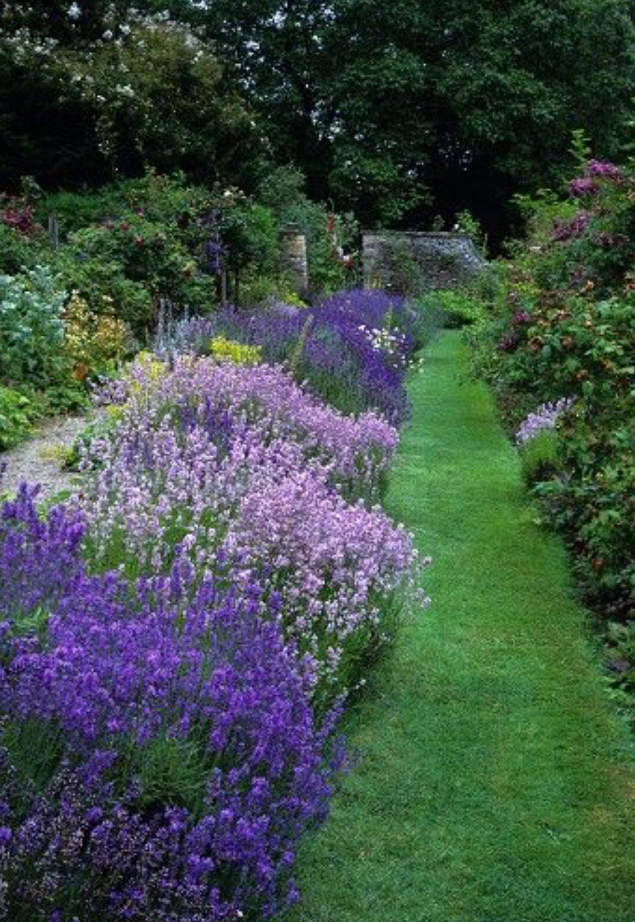 21 Purple Garden Art Ideas Worth a Look | SharonSable