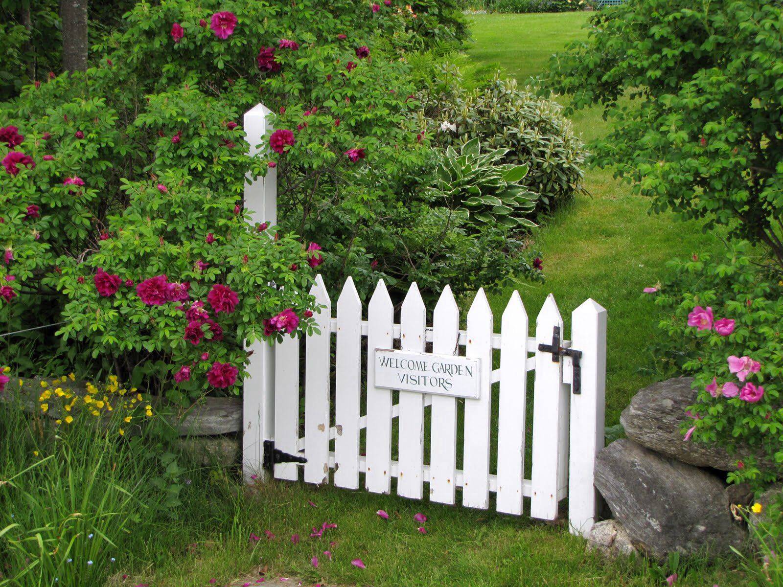 24 English Cottage Garden Gate Ideas Worth a Look | SharonSable