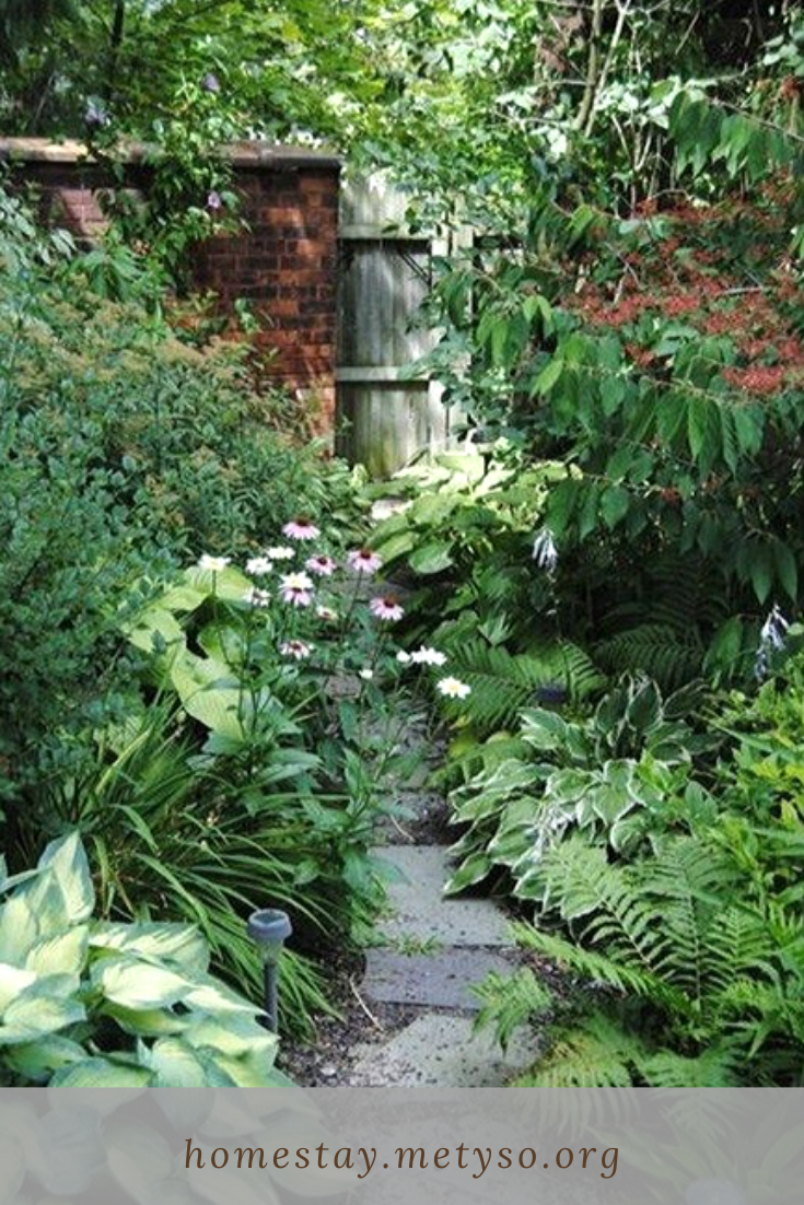 24 Shade Garden Inspo Ideas Worth to Check | SharonSable