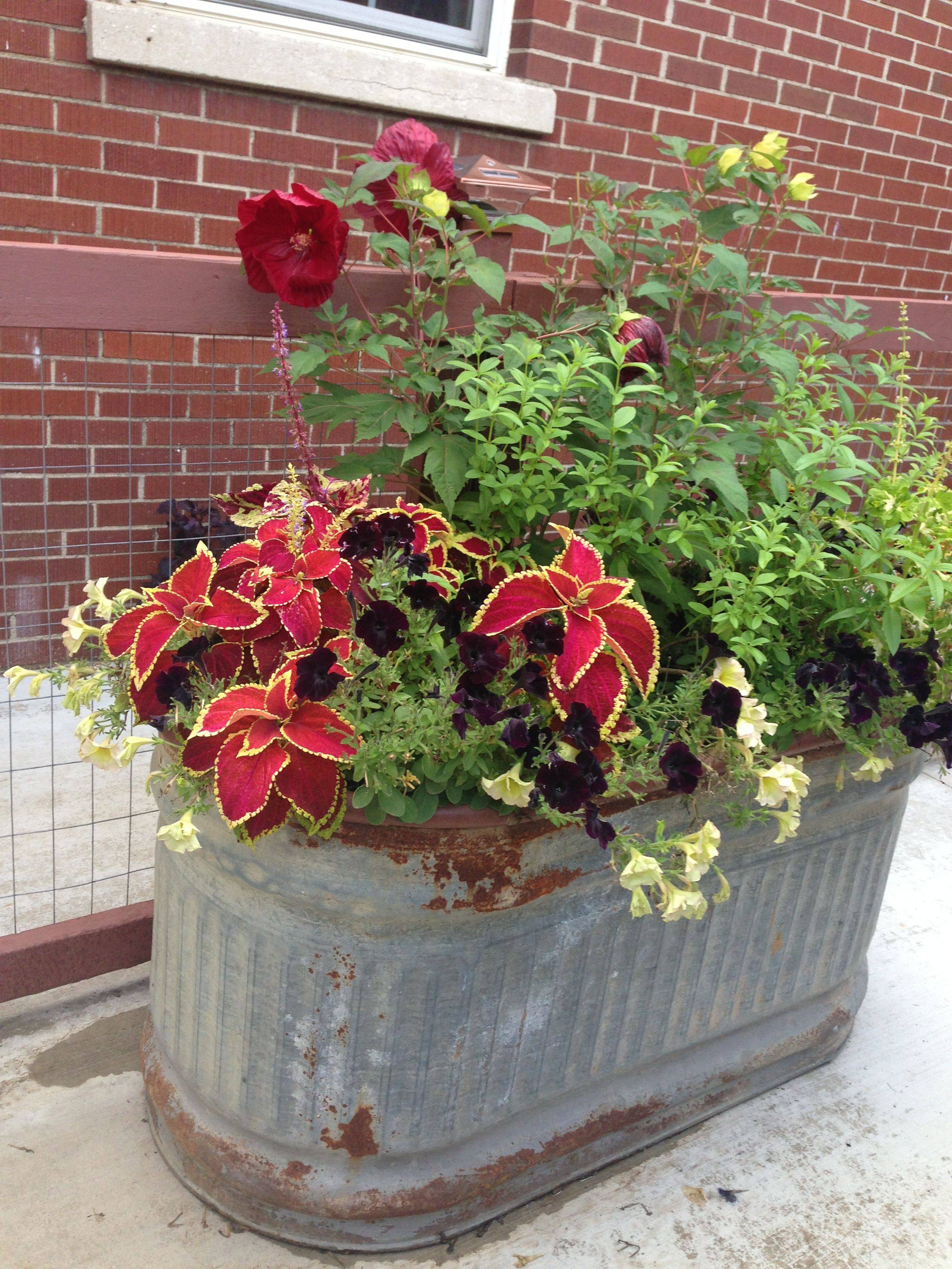 26 Raised Garden Trough Planters Ideas You Must Look | SharonSable