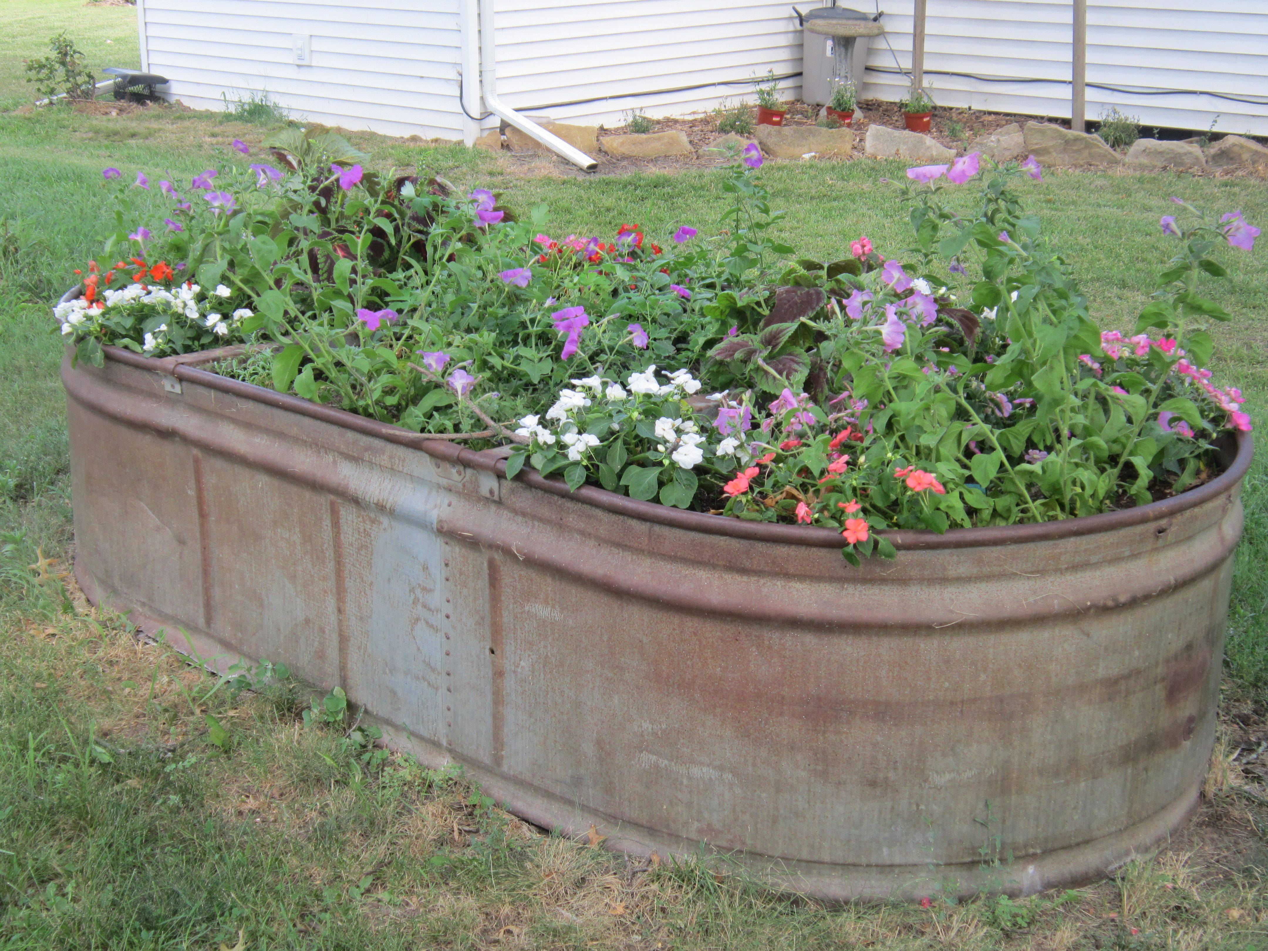 26 Raised Garden Trough Planters Ideas You Must Look | SharonSable
