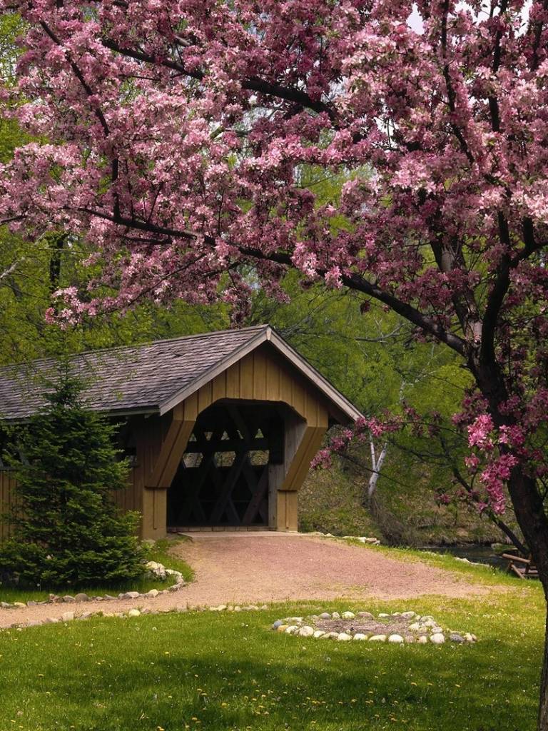 20 Windows 7 Garden Theme Ideas You Gonna Love | SharonSable