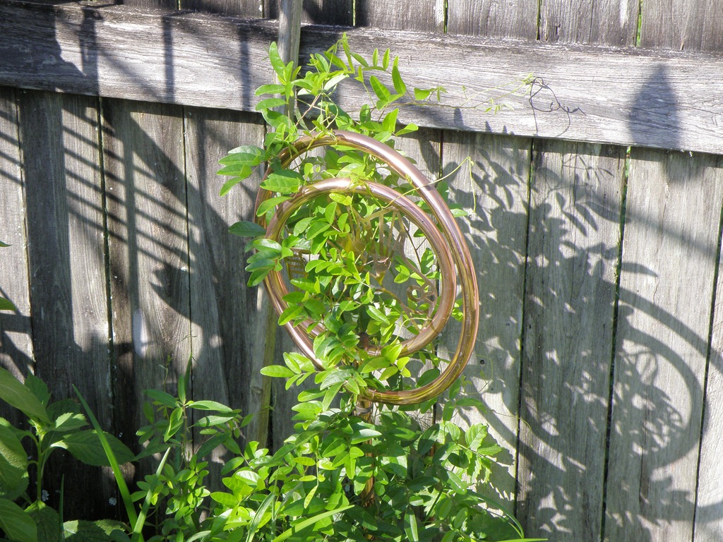 20 Windows 7 Garden Theme Ideas You Gonna Love | SharonSable