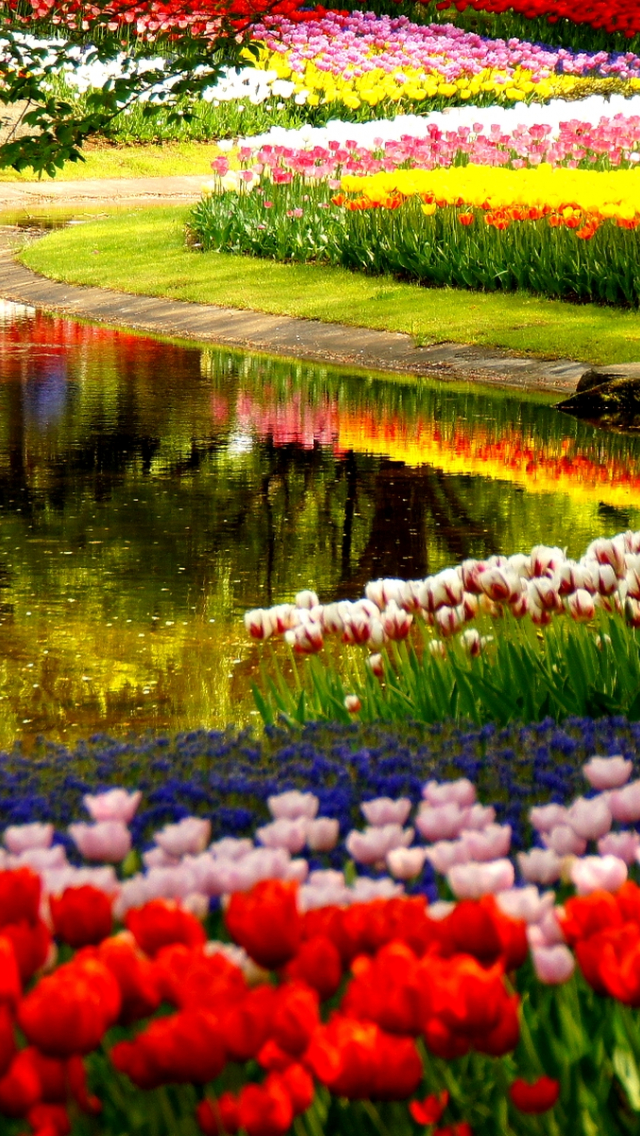 20 Windows 7 Garden Theme Ideas You Gonna Love | SharonSable