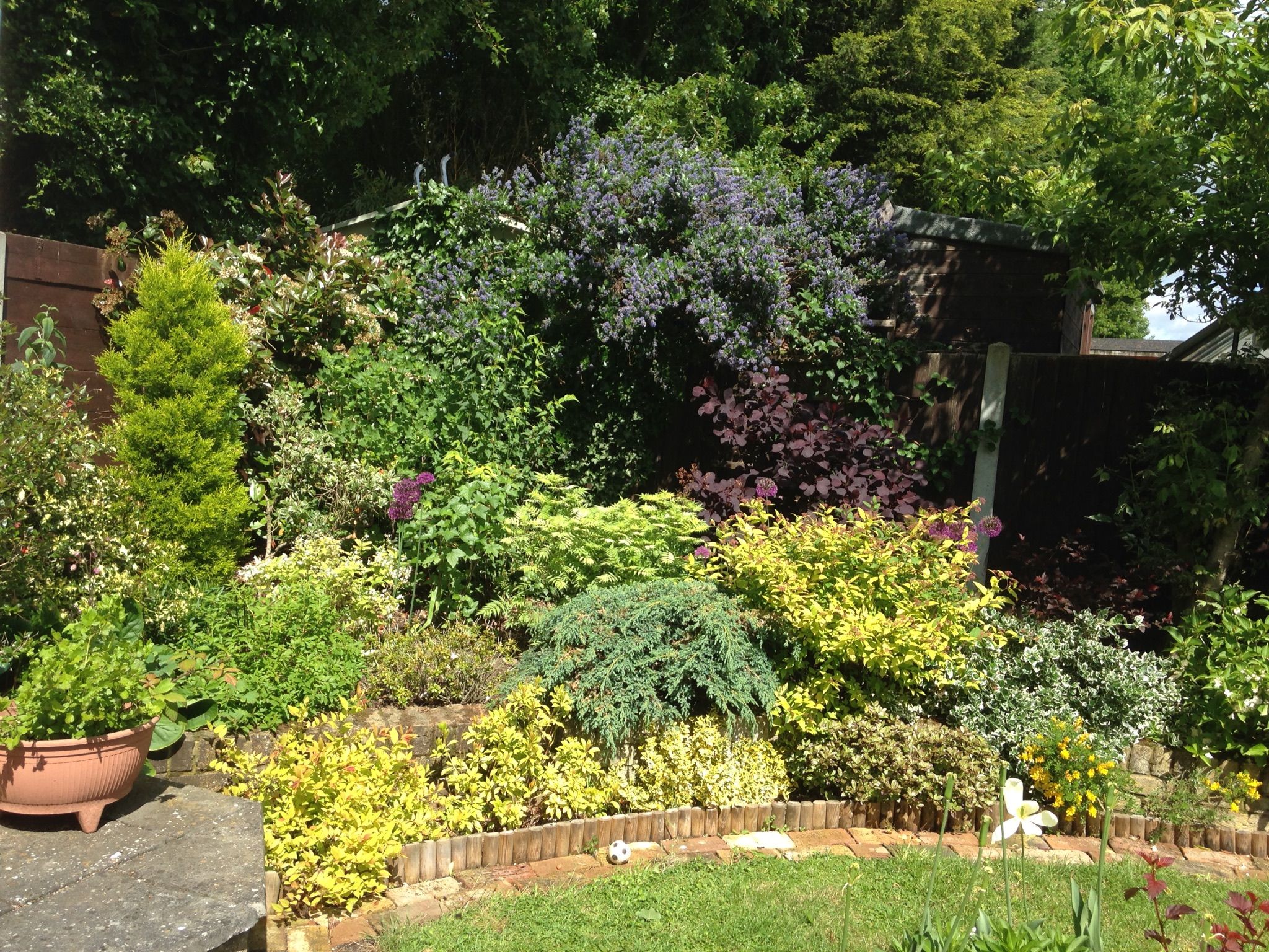 14 Garden Made Perfect Ideas Worth a Look | SharonSable