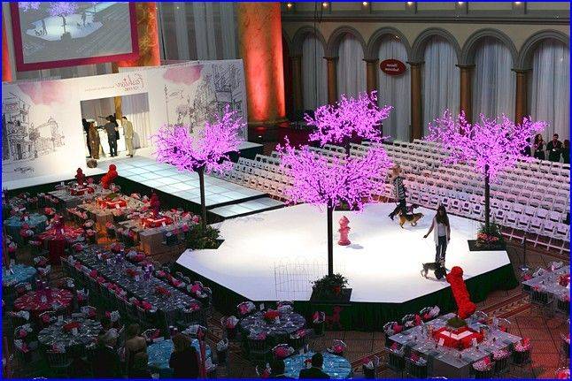 20 Garden Runway Ideas To Try This Year | SharonSable