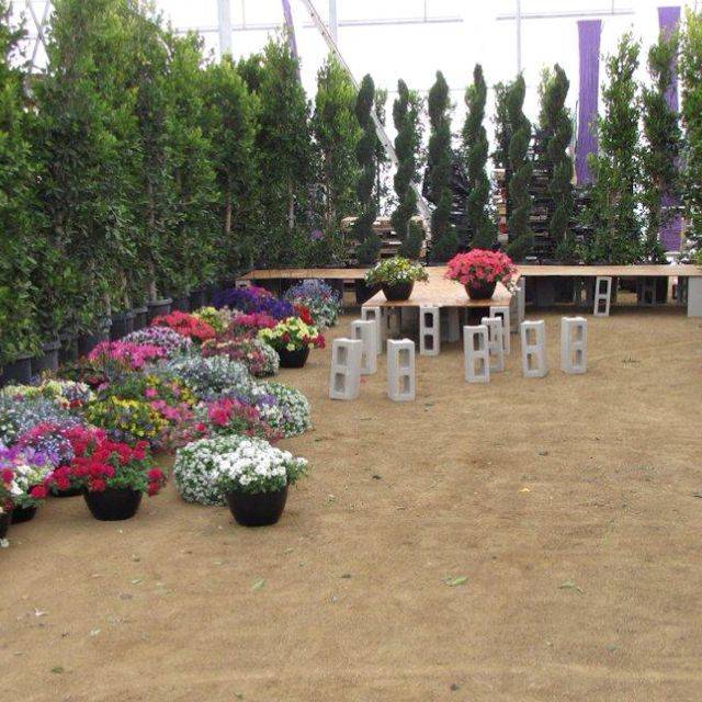 20 Garden Runway Ideas To Try This Year | SharonSable