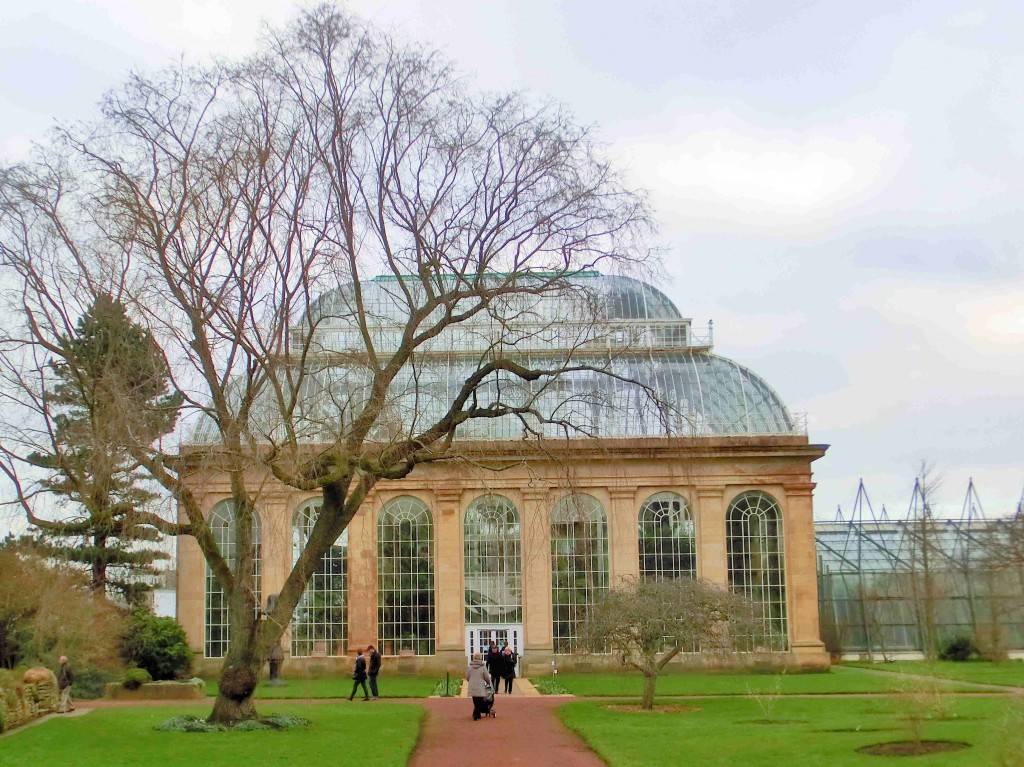 23 Edinburgh Botanical Garden Ideas To Try This Year | SharonSable